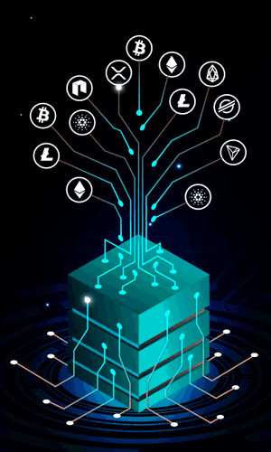 iMentus - Your vision crafted and delivered